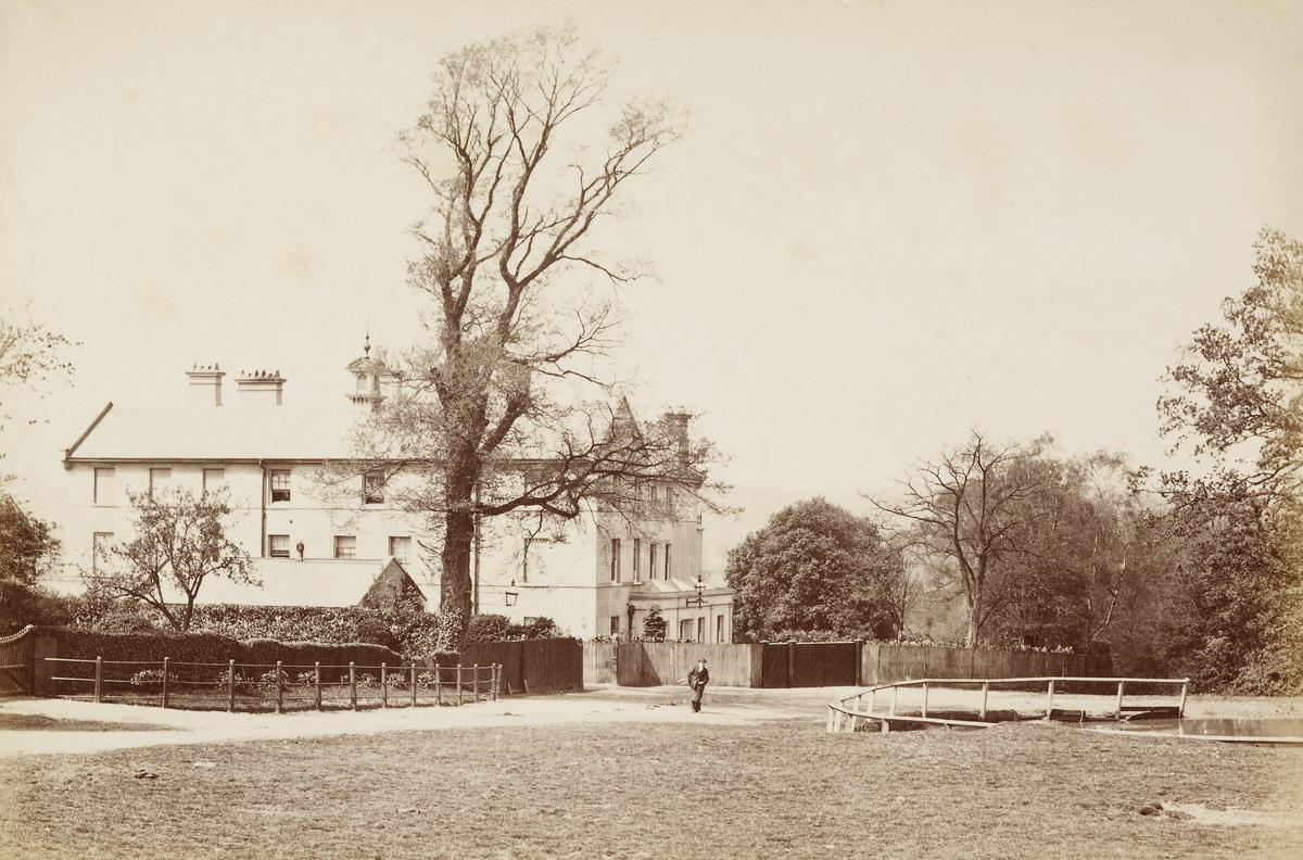 Hadley Ward | London Museum