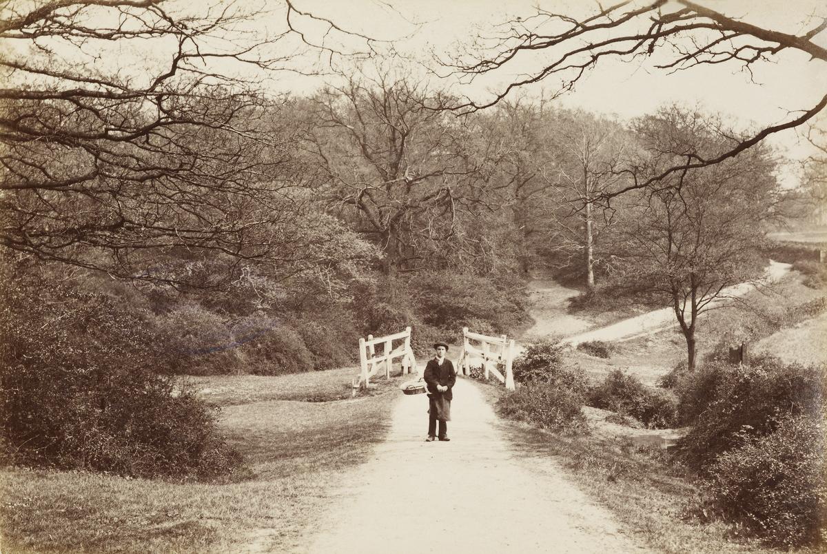 Hadley Ward | London Museum