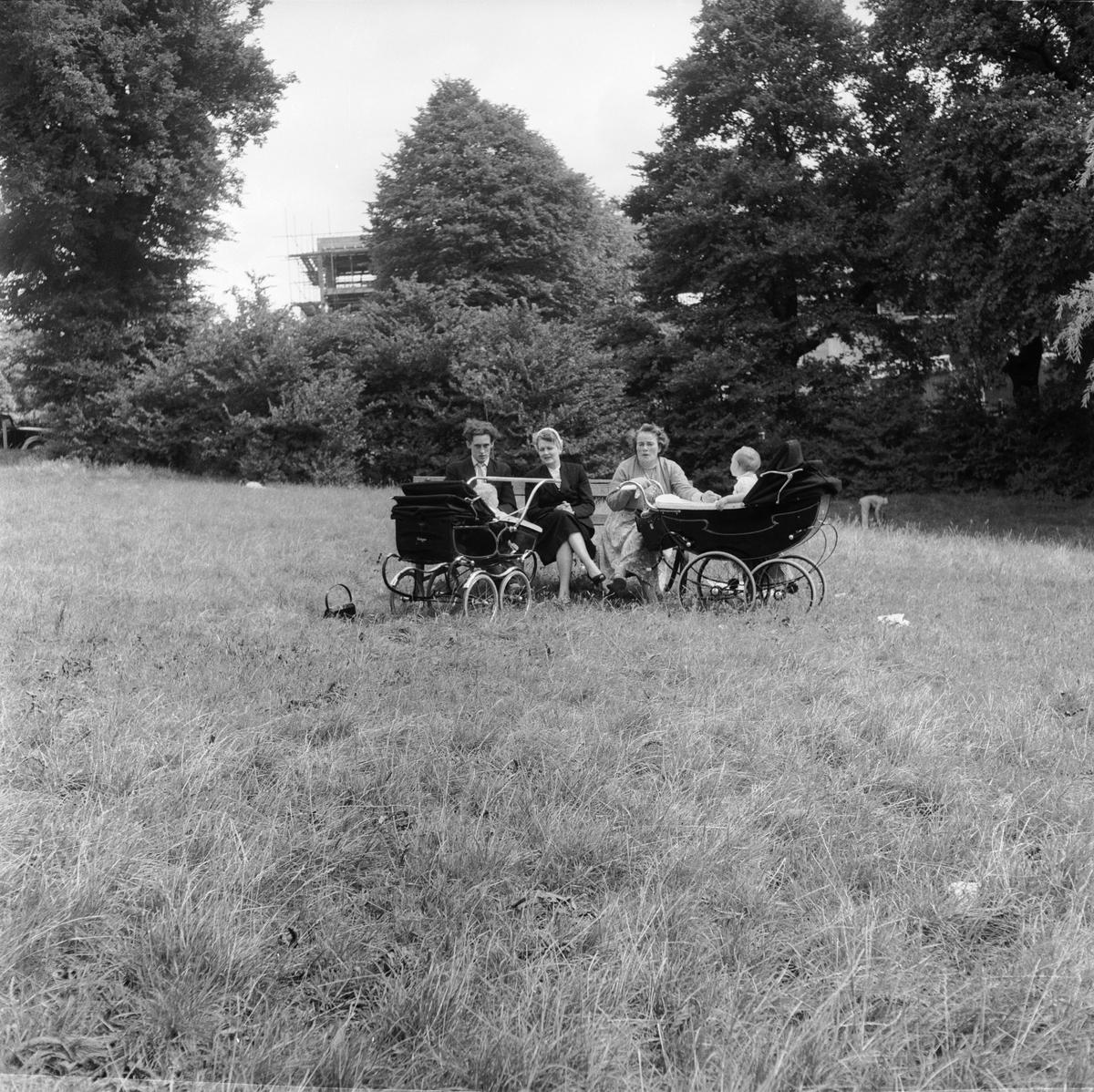 Parents in the park with their prams and babies, Hampstead Heath ...