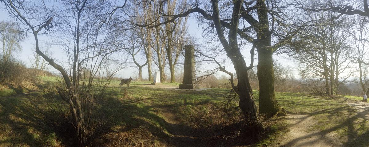 Obelisk on Pole Hill, Chingford | London Museum