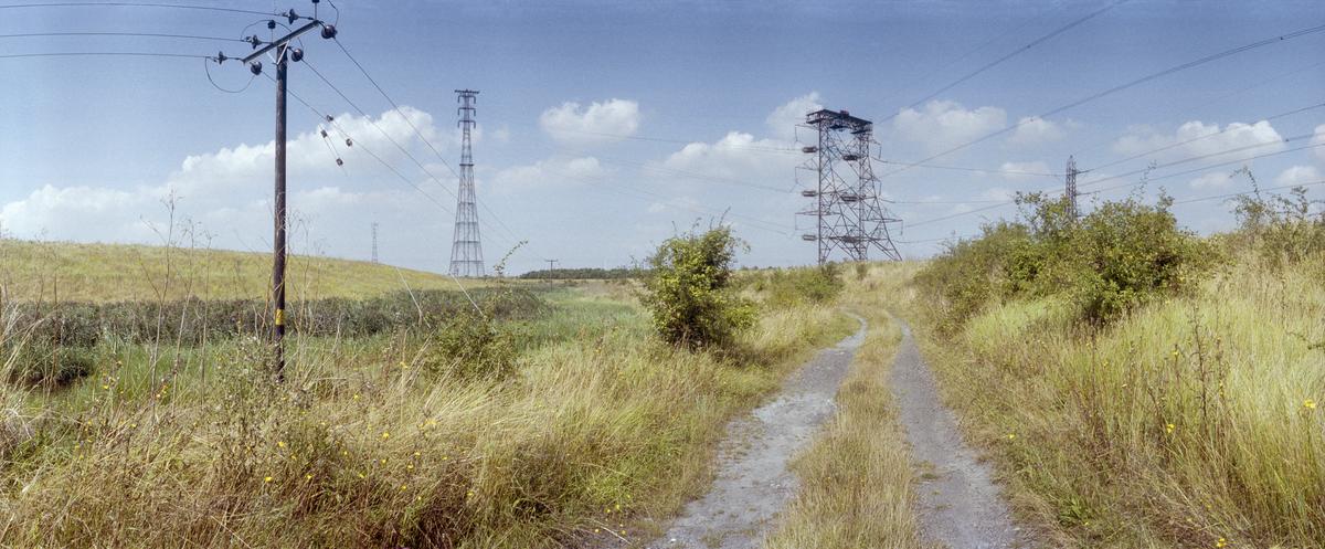Swanscombe Marshes | London Museum