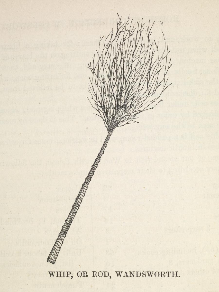 Whip, or rod, and whipping-post, Wandsworth | London Museum