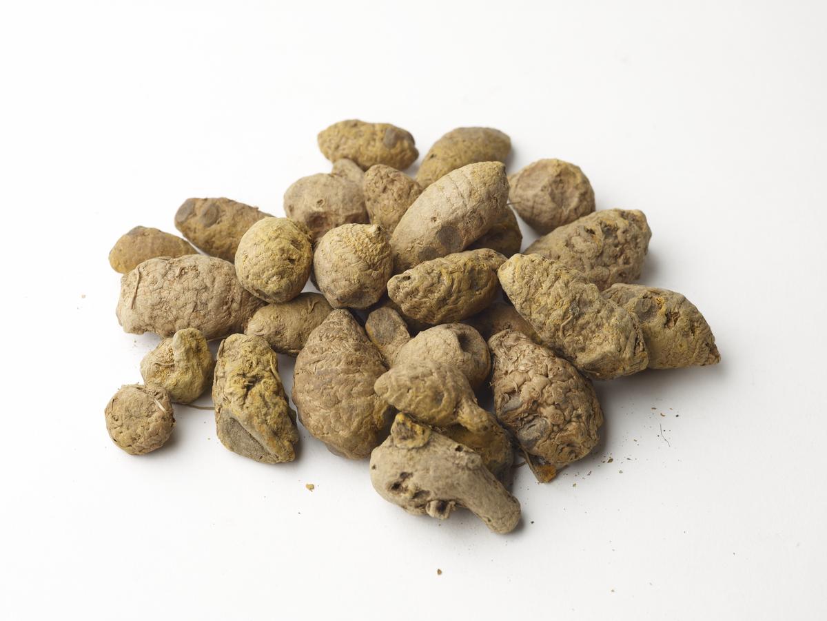 Sample, loose sample of turmeric bulbs | London Museum