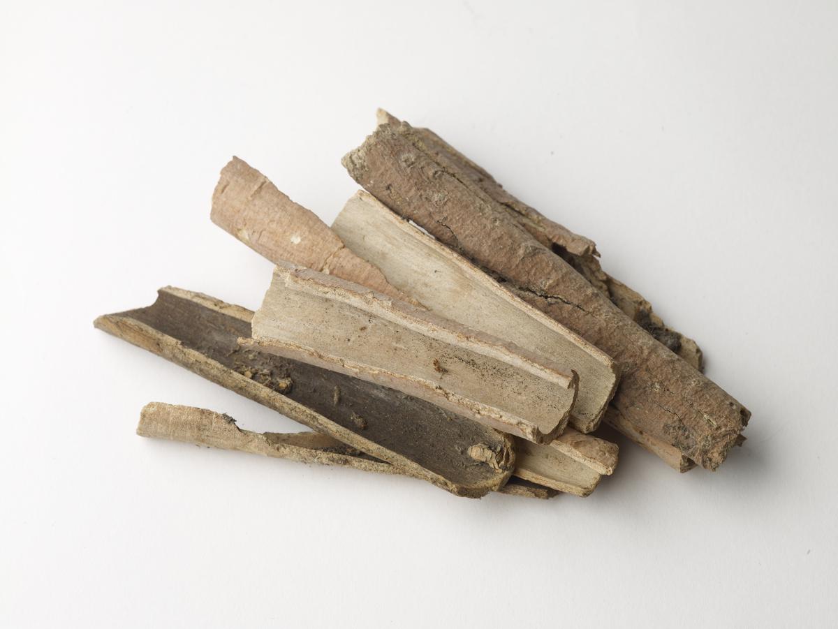 Sample, loose sample of canella bark | London Museum