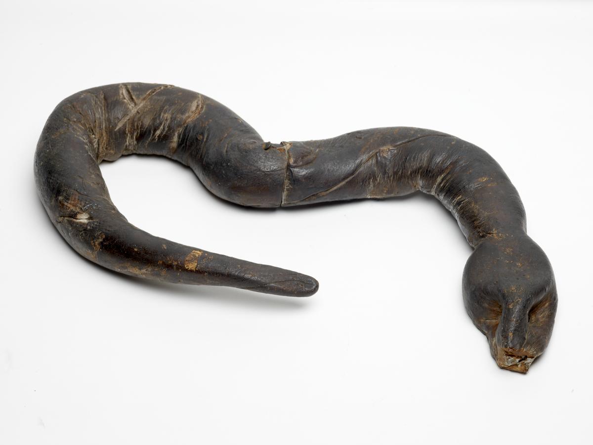 Model, model of snake | London Museum