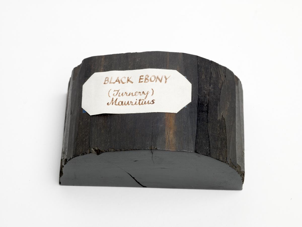 Sample, ebony wood sample block | London Museum