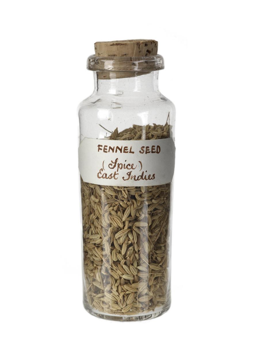 Sample jar, fennel seed sample | London Museum