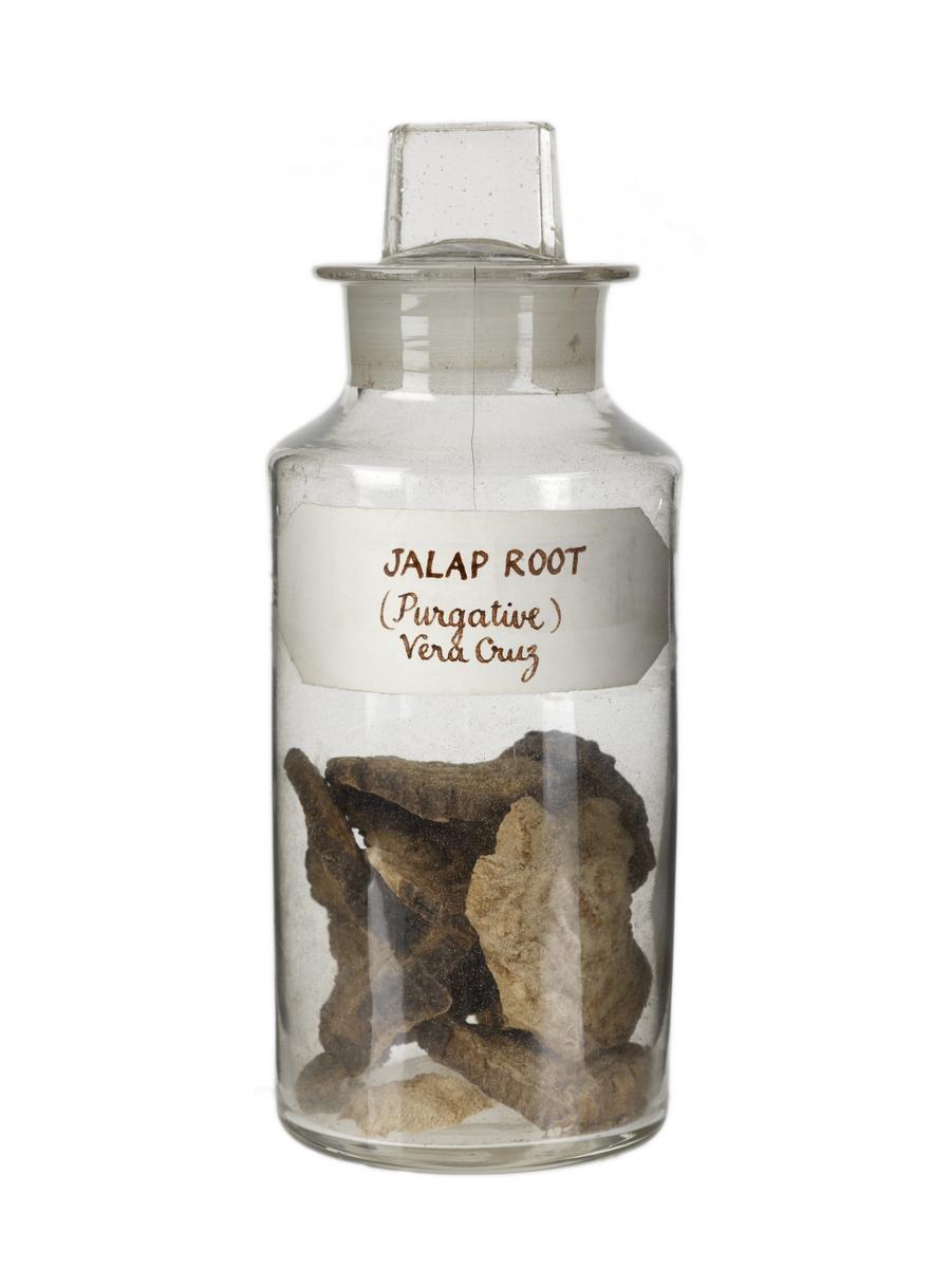 Sample, sample of jalap root contained in a glass jar | London Museum