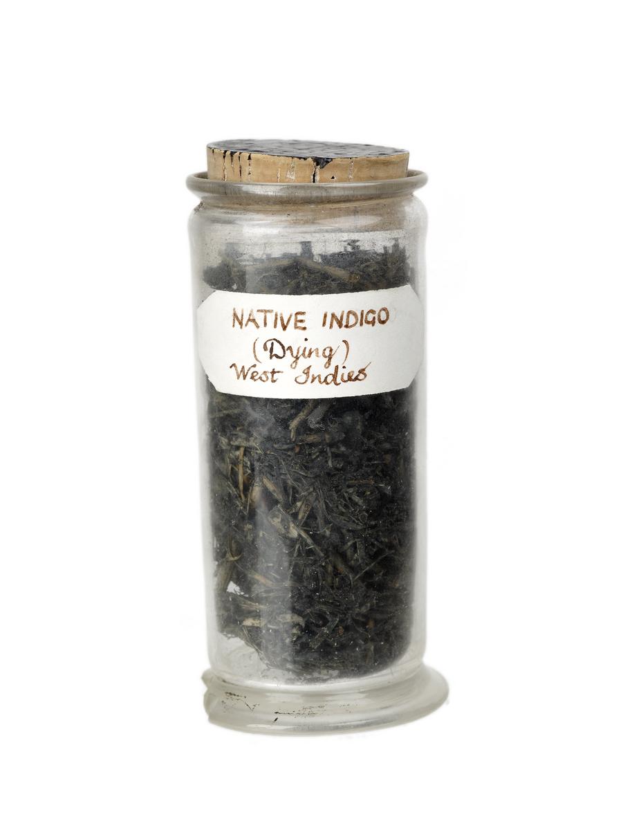 Sample jar, native indigo sample | London Museum