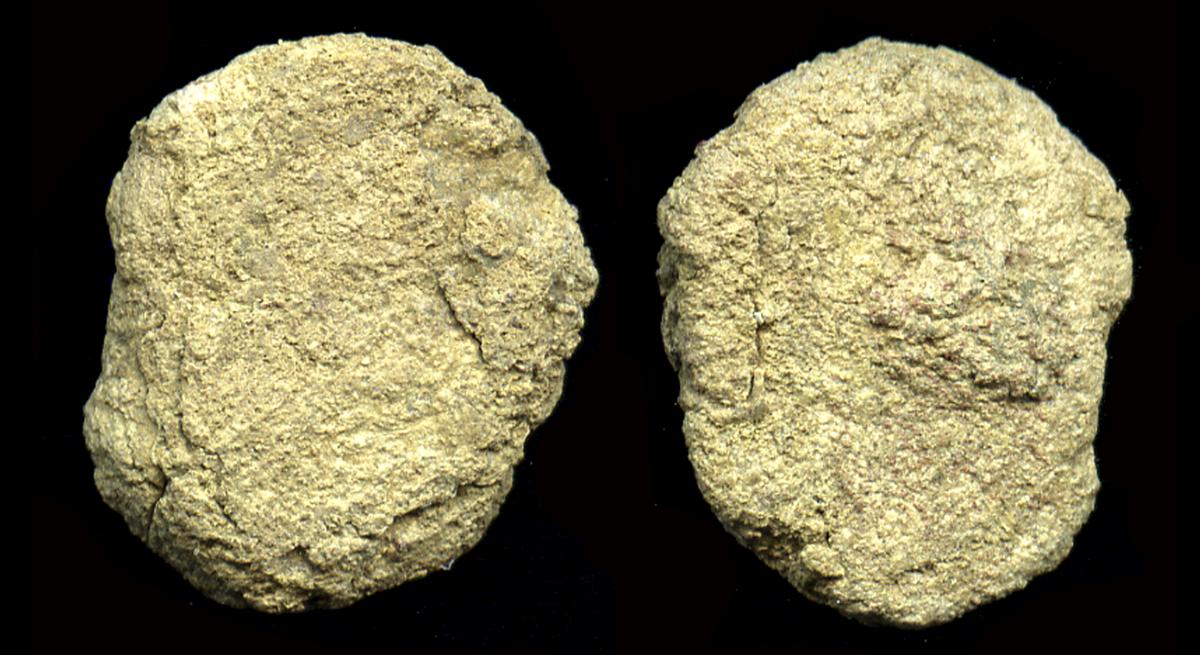 Coin, nummus AE4 | London Museum