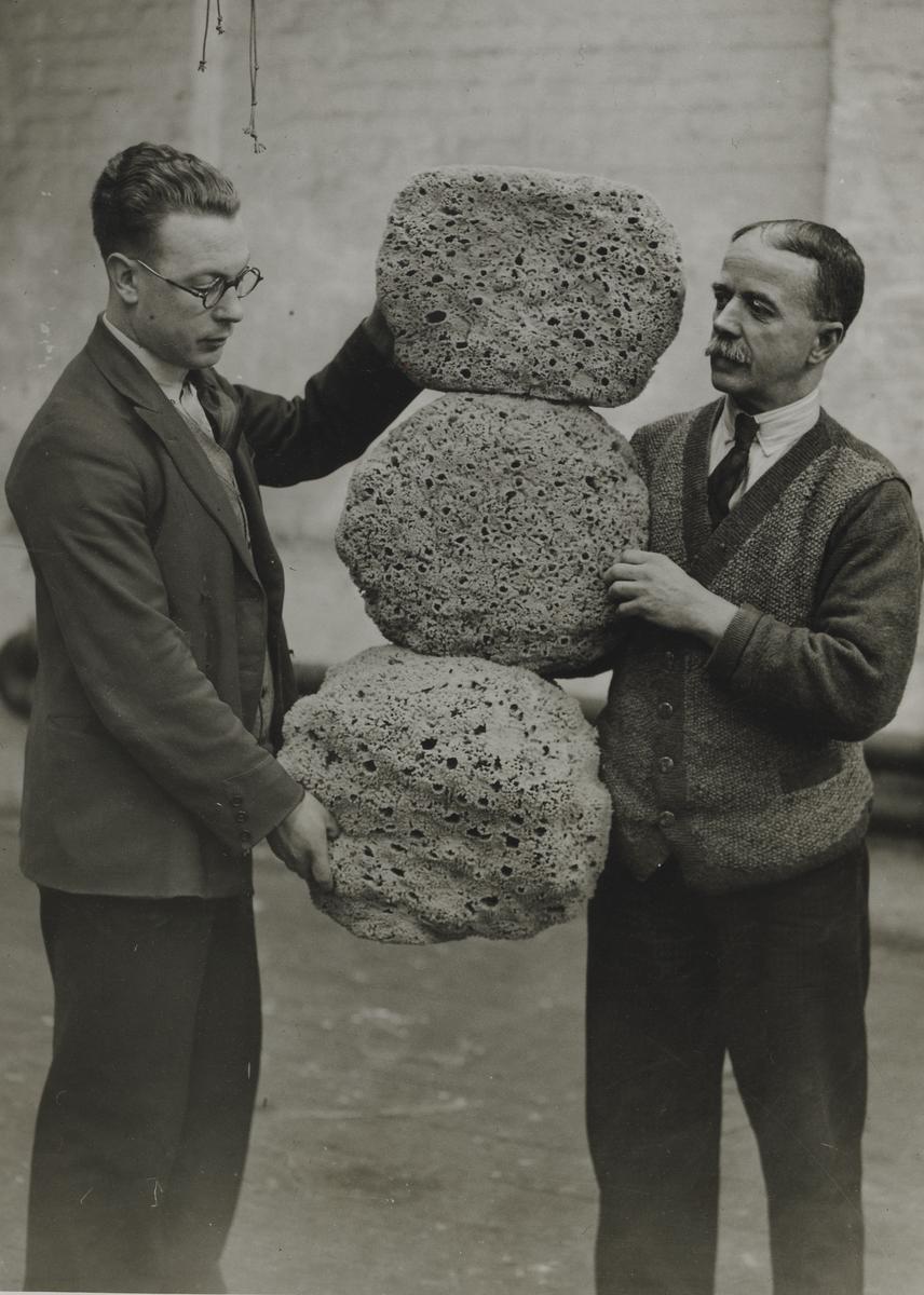 Displaying imported sponge at Cutler Street | London Museum