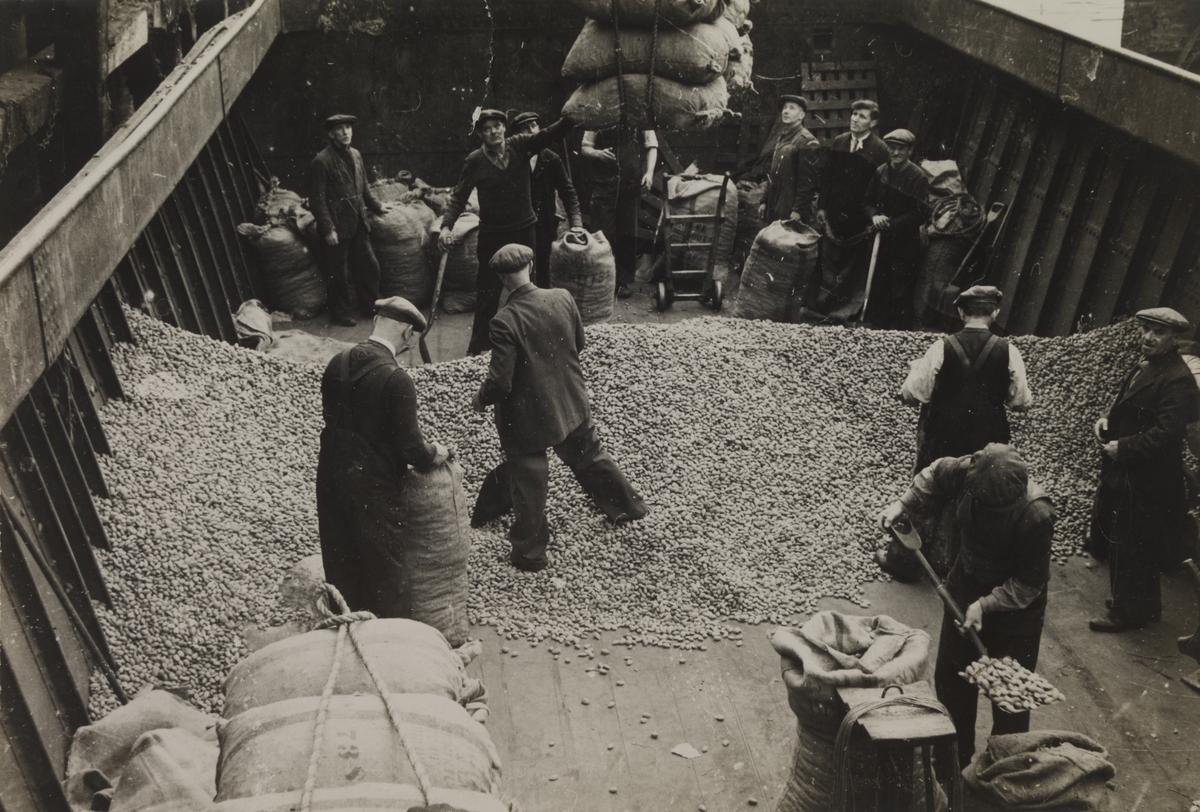 Rebagging groundnuts, George V Dock, October 1947 | London Museum