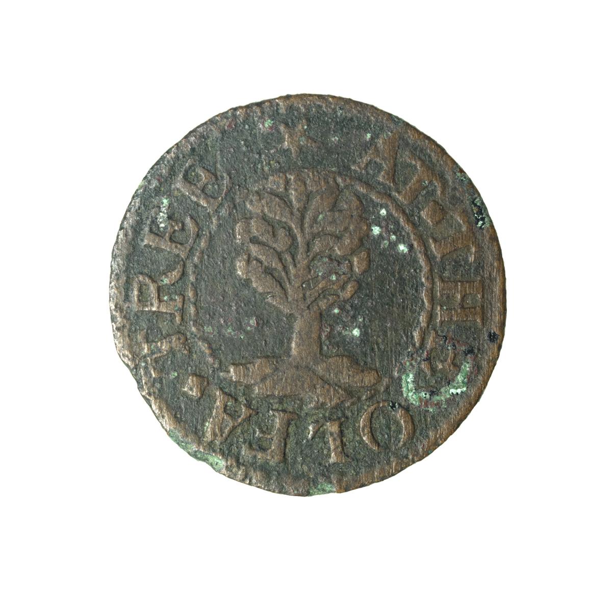 The Olive Tree | London Museum