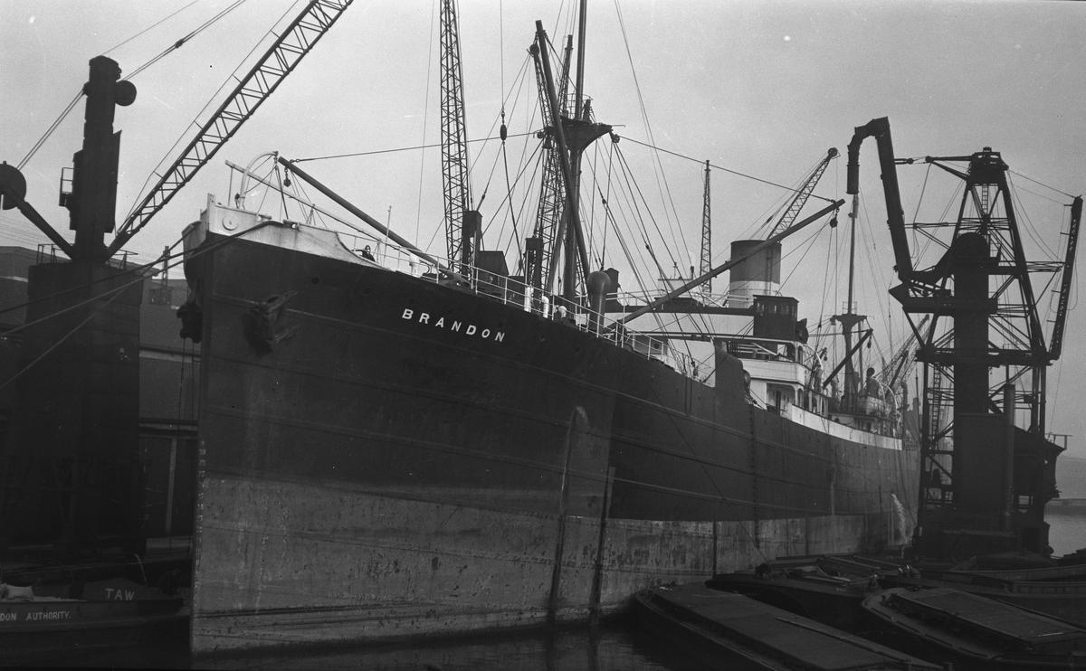 West India Docks: The South Georgia Company's stores vessel 'Brandon ...