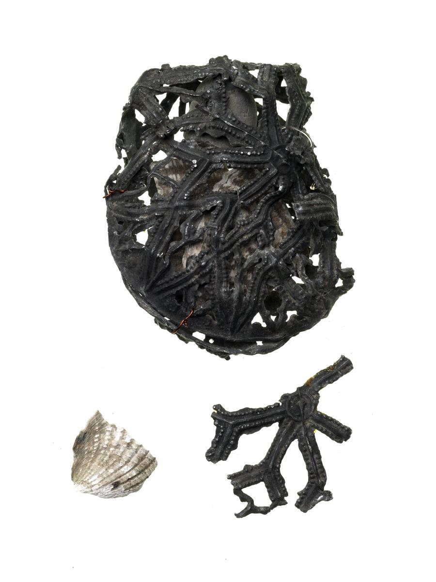 Rattle with shell and pebble | London Museum