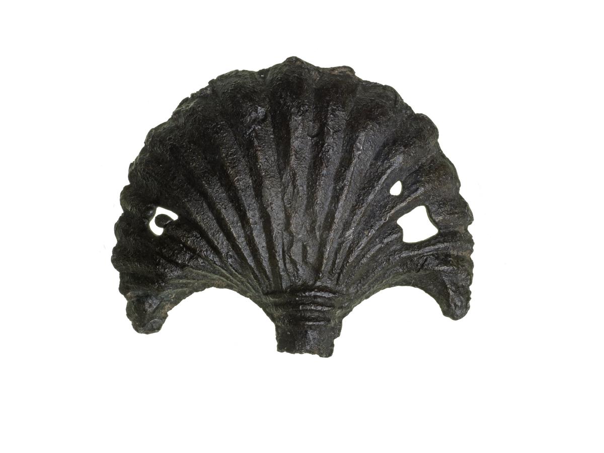 Scallop shell | London Museum
