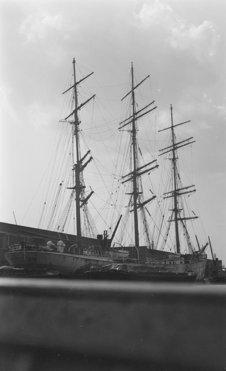 Royal Victoria Dock: The 'Grace Harwar' in the dock basin on 26th ...