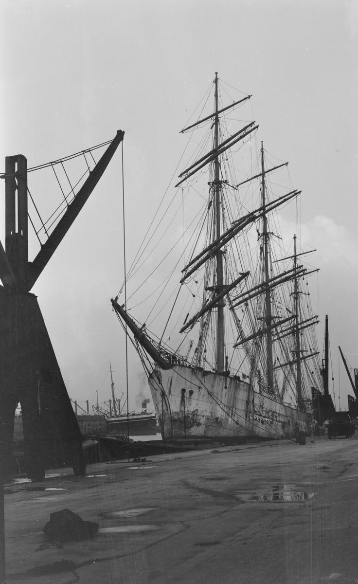 Royal Victoria Dock: The 'Grace Harwar' in the dock basin on 26th ...