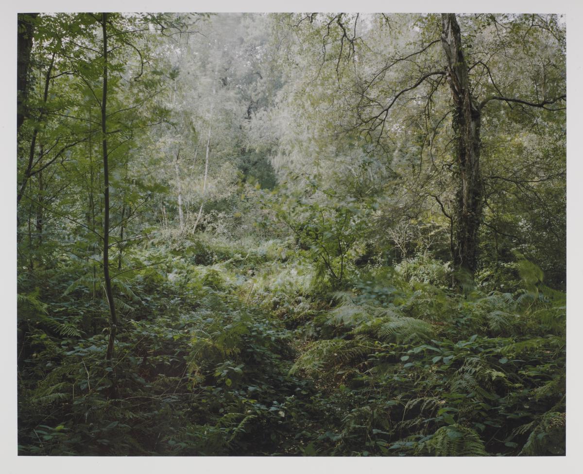 The Heath - 39 | London Museum