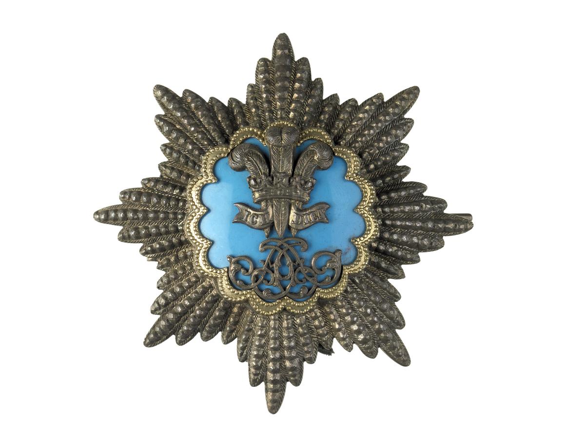 Badge, Guildhall Reception Committee badge | London Museum