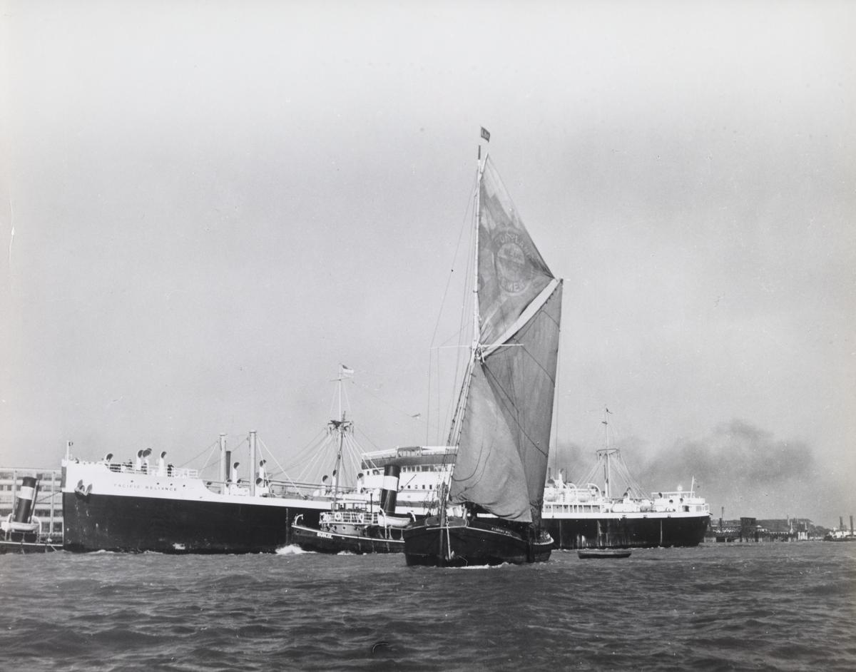 A busy scene in Woolwich Reach | London Museum