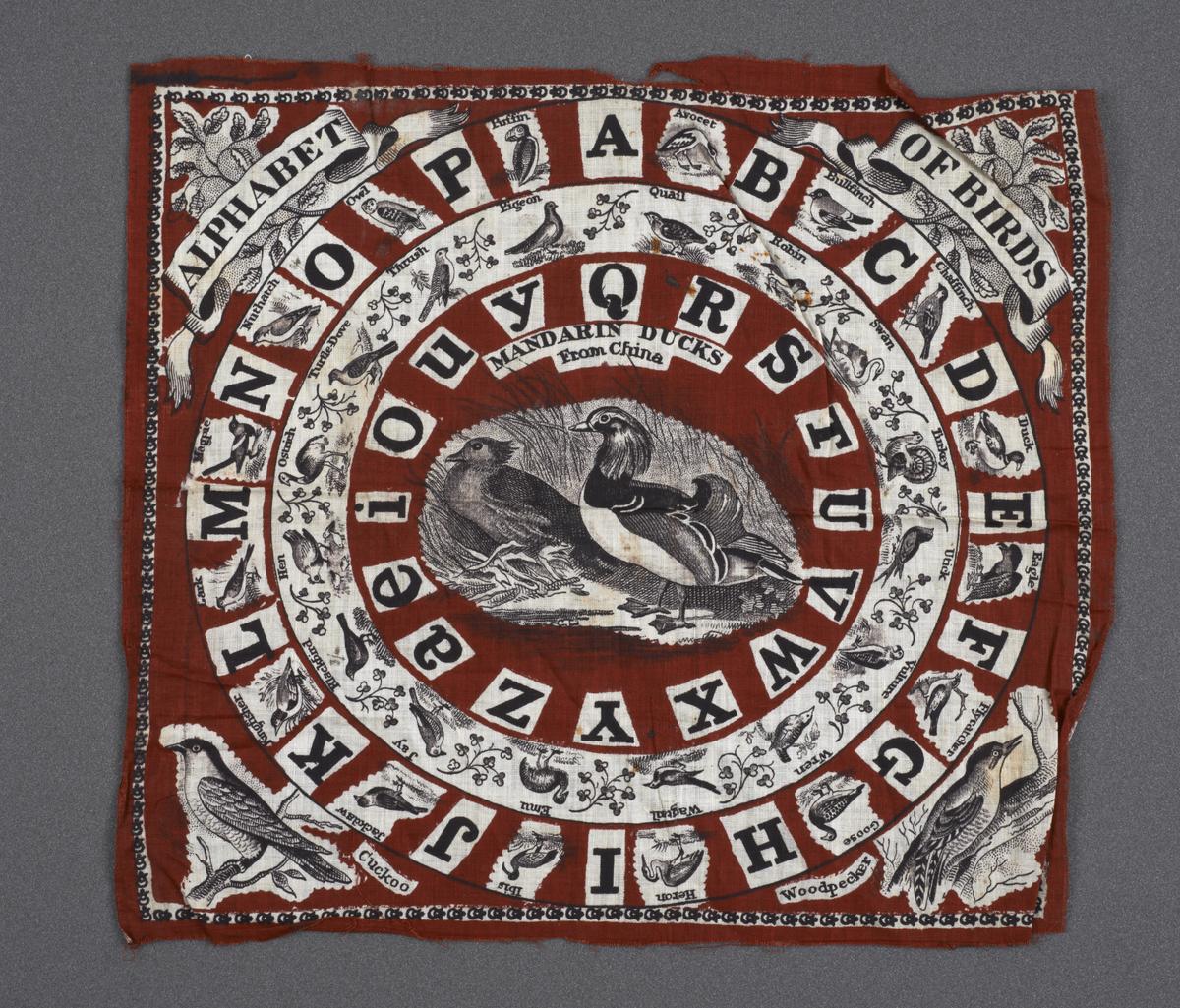 Alphabet of Birds | London Museum