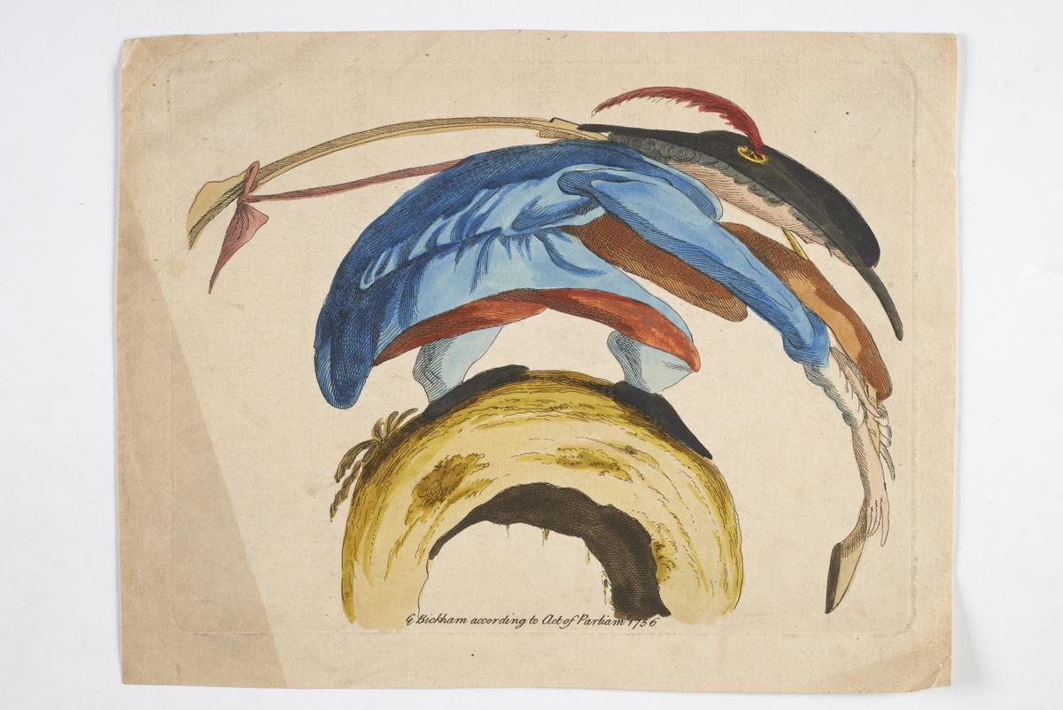 Anamorphosis print | London Museum