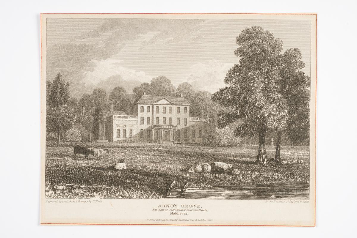 Arno's Grove | London Museum