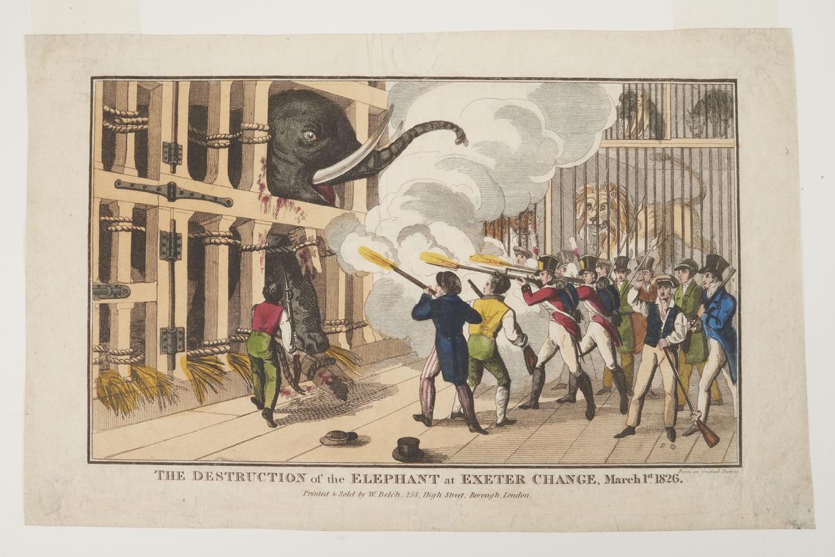 The Destruction of the Elephant at Exeter Change, March 1st.1826 ...