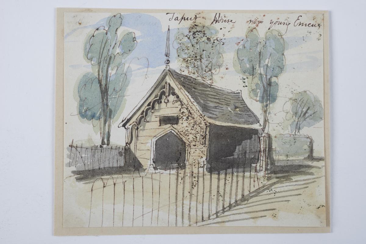 Tapir House, now young Emus | London Museum