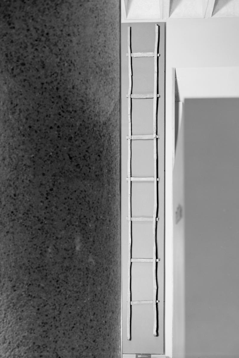 Ladder | London Museum