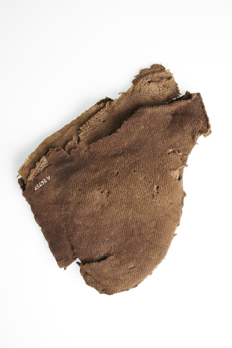 Codpiece | London Museum