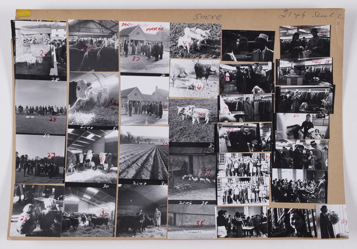 Shere | London Museum