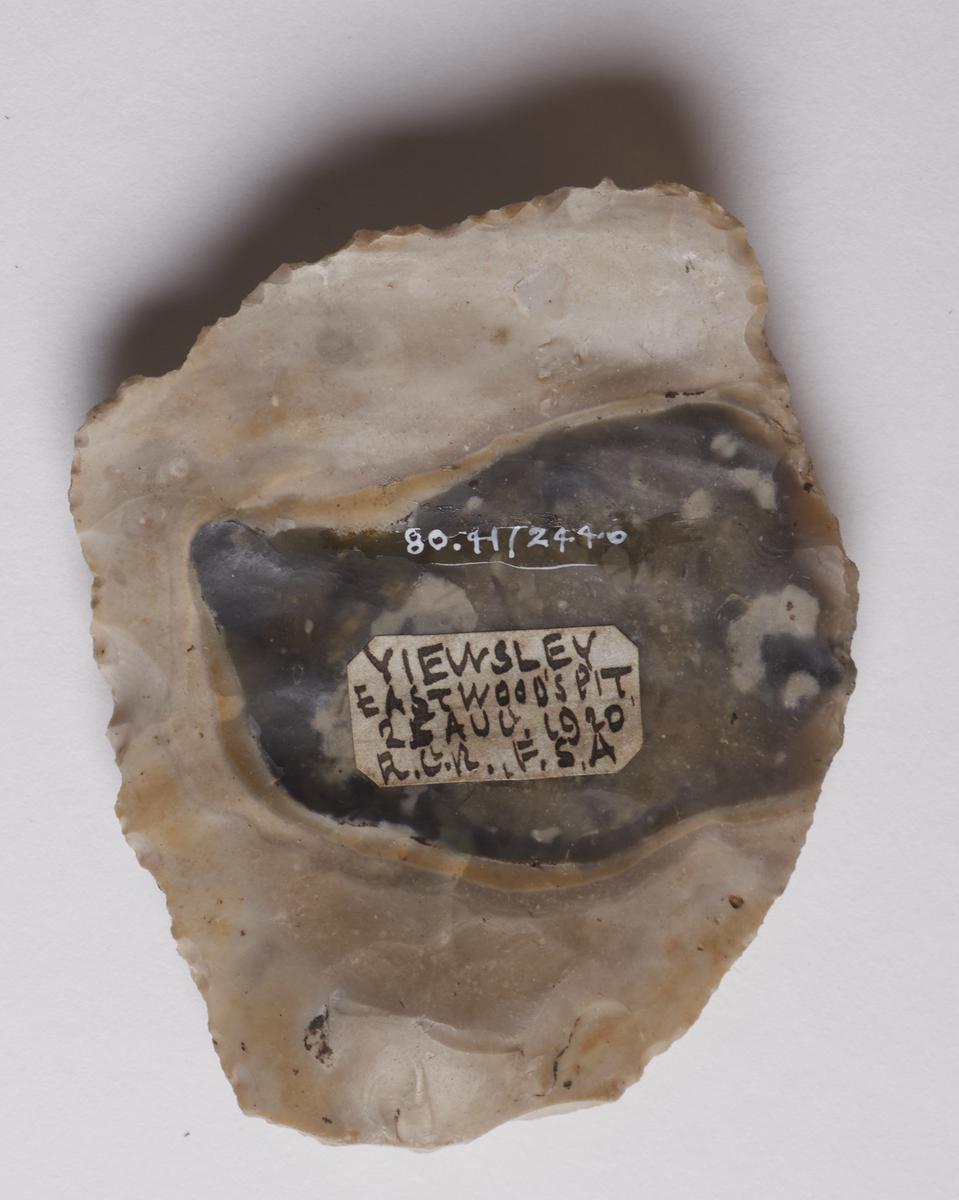 Flake, Levallois flake | London Museum