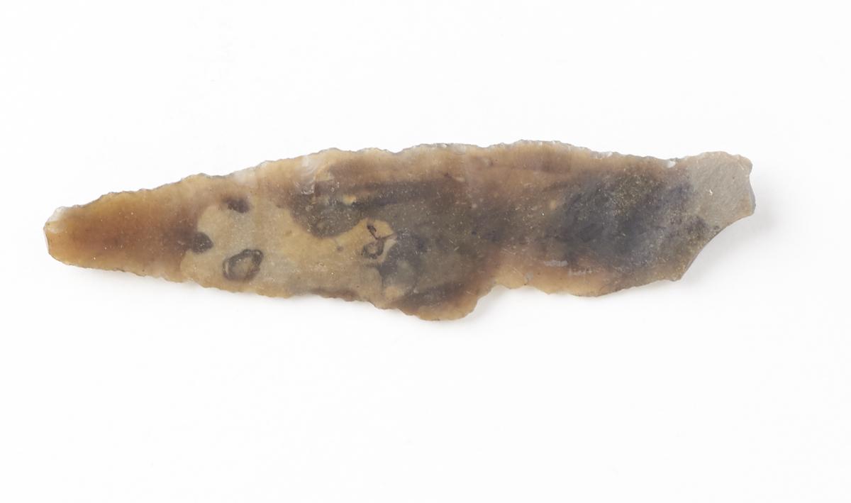 Flake | London Museum