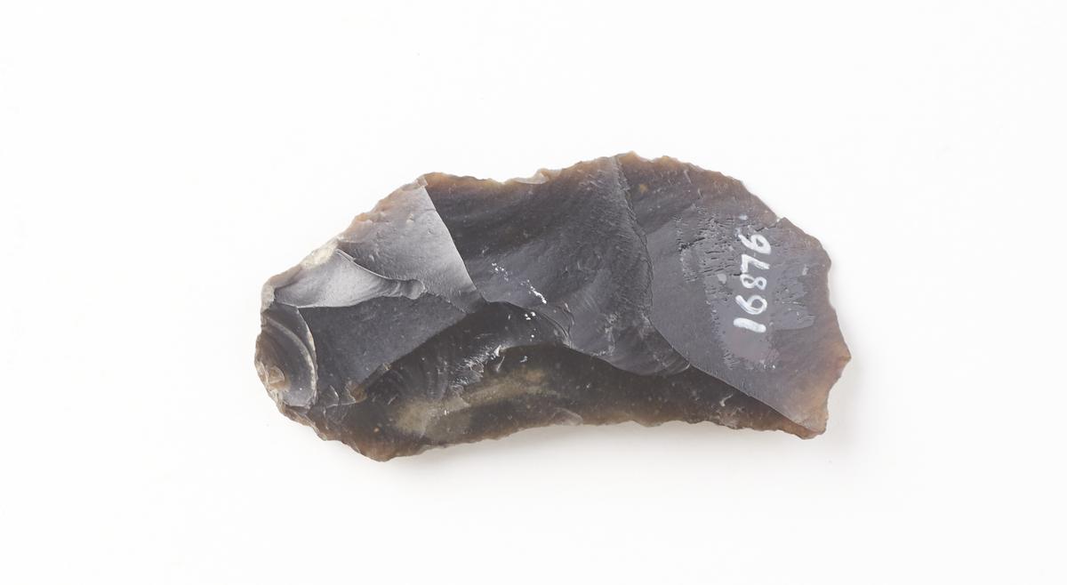 Flake | London Museum