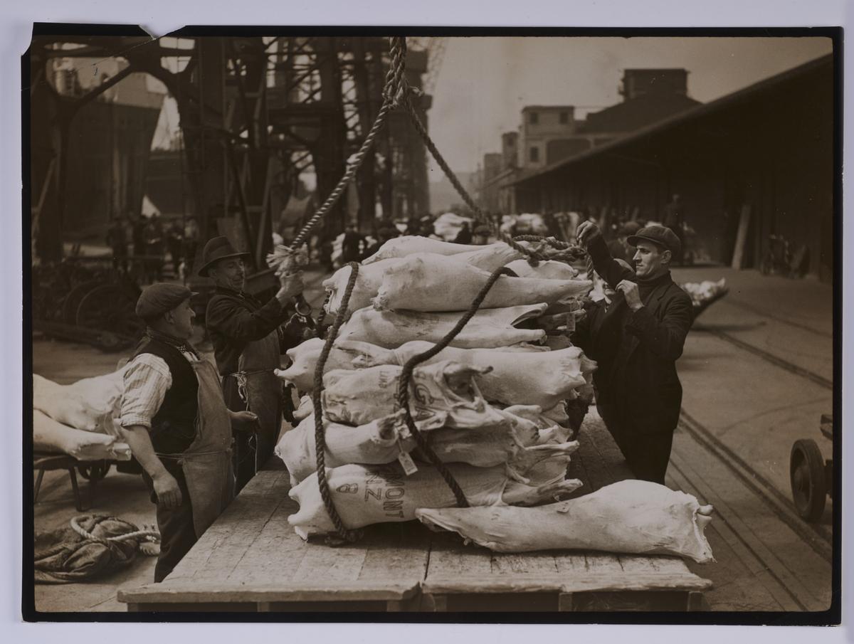 Discharging New Zealand Mutton c.1938 | London Museum