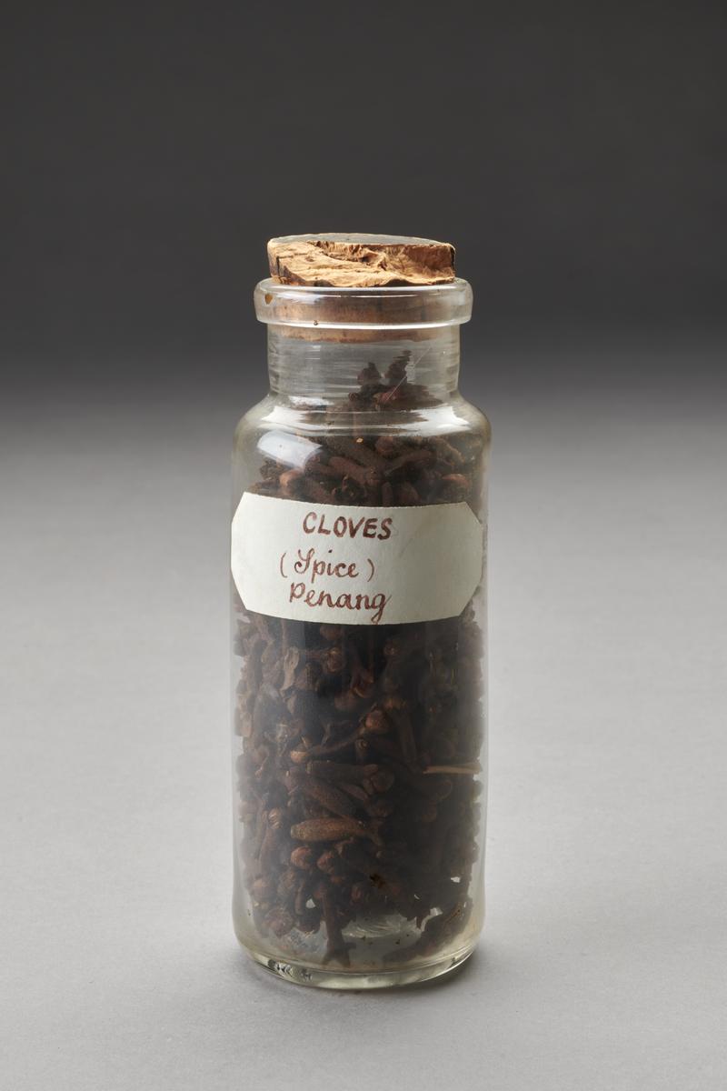 Sample jar, clove sample | London Museum