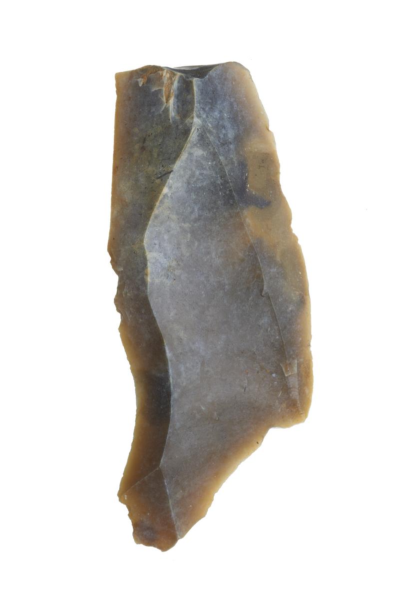 Flake | London Museum