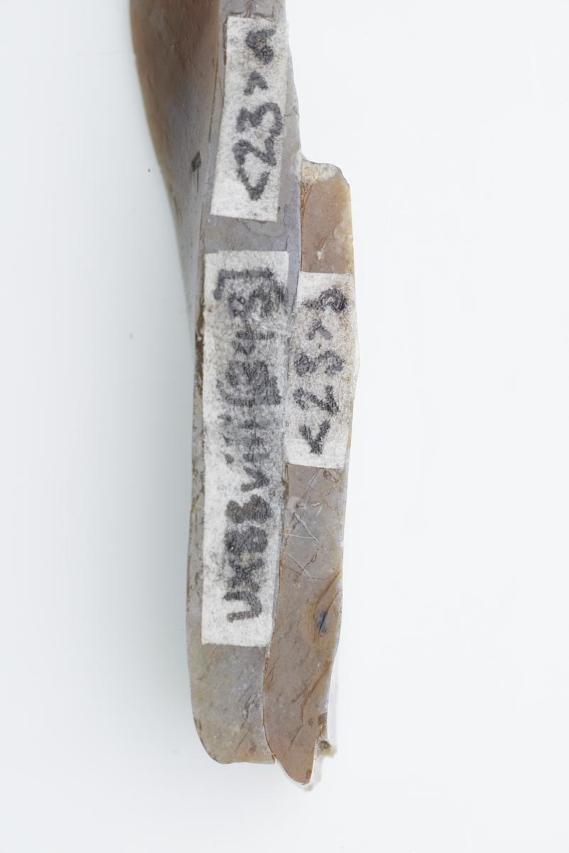 Flake | London Museum