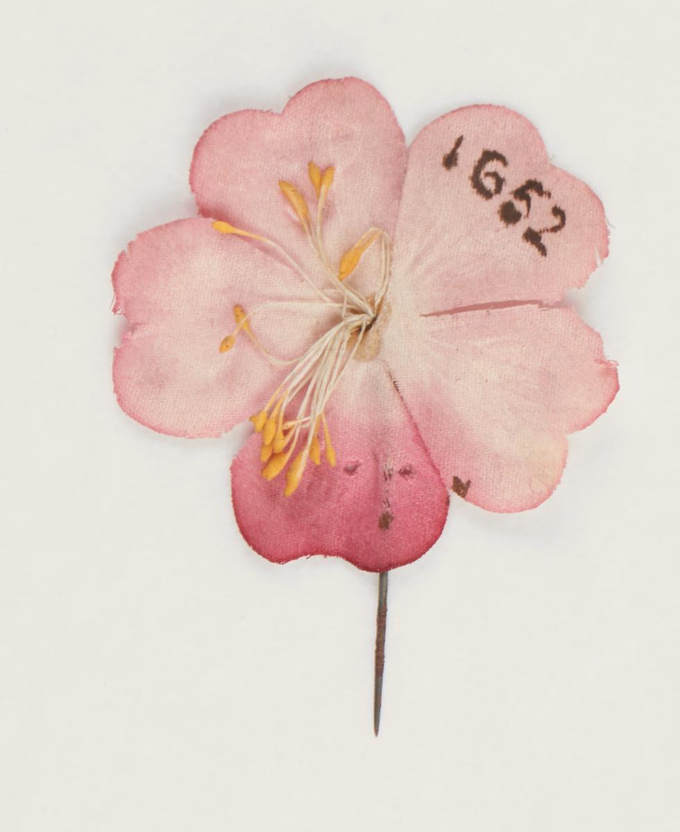 Charity flag, flagday emblem | London Museum