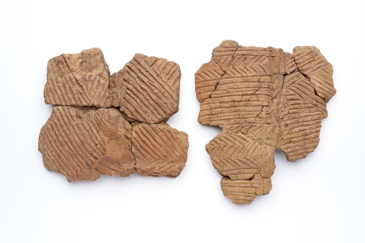 Grooved ware | London Museum