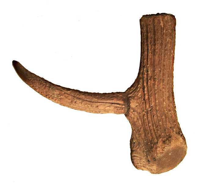 Animal bone, red deer antler | London Museum