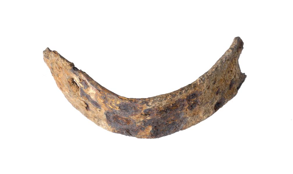 Water pipe collar, water pipe connecting collar | London Museum