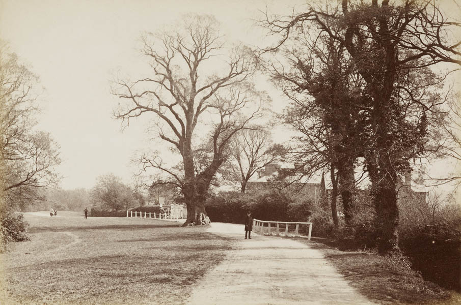 Hadley Ward | London Museum