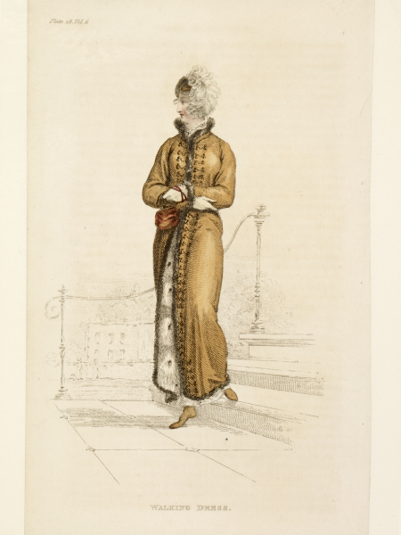 Walking Dress | London Museum